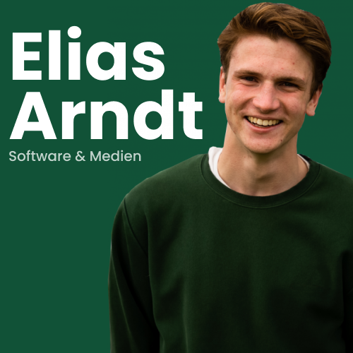 Webentwickler in Schleswig - Elias Arndt
